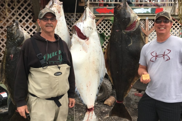 Alaska Wolf Hunting Packages | Green Rocks Lodge